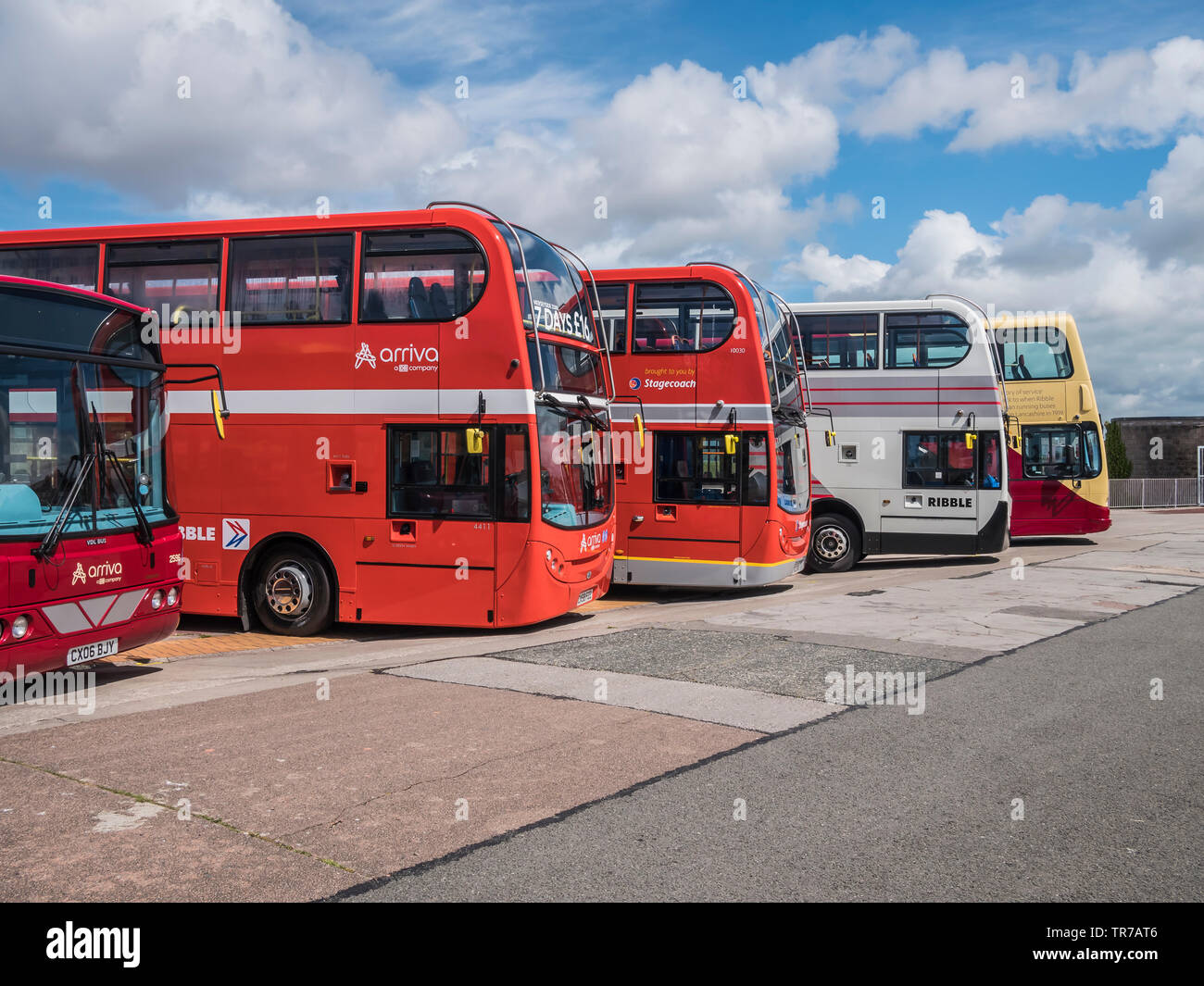 Modern public transport buses on display at the coastal town of ...