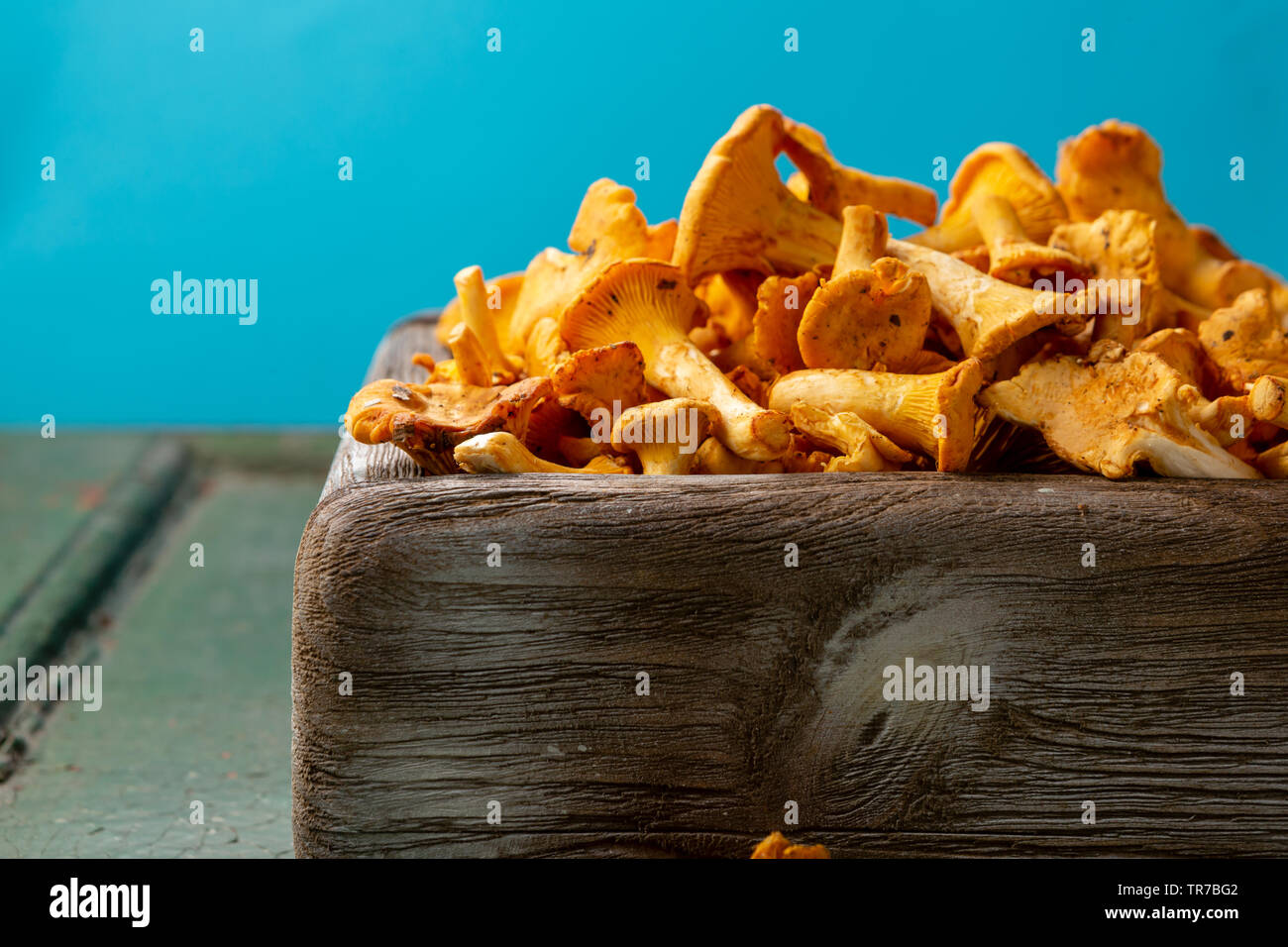 Forest mushrooms harvest, autumn food Stock Photo - Alamy