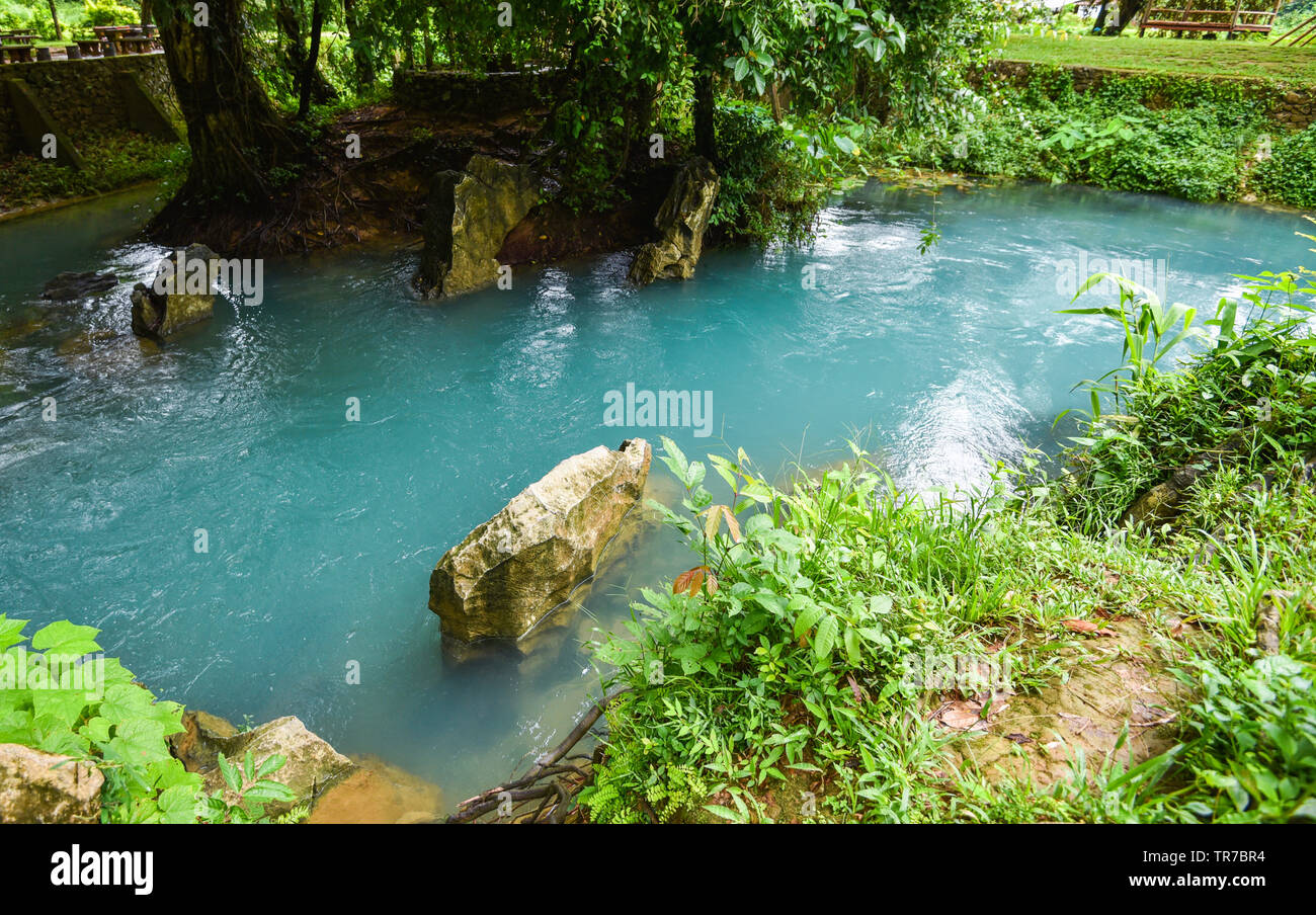 blue stream river / blue water pond in the jungle tropical forest Stock ...