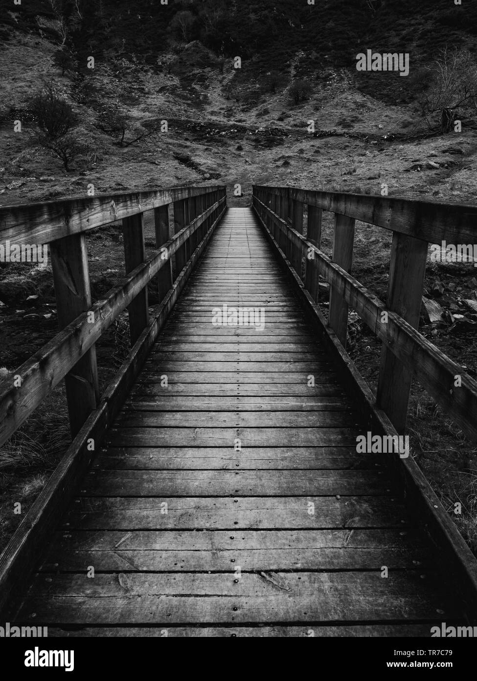 Side d Black and White Stock Photos & Images - Alamy