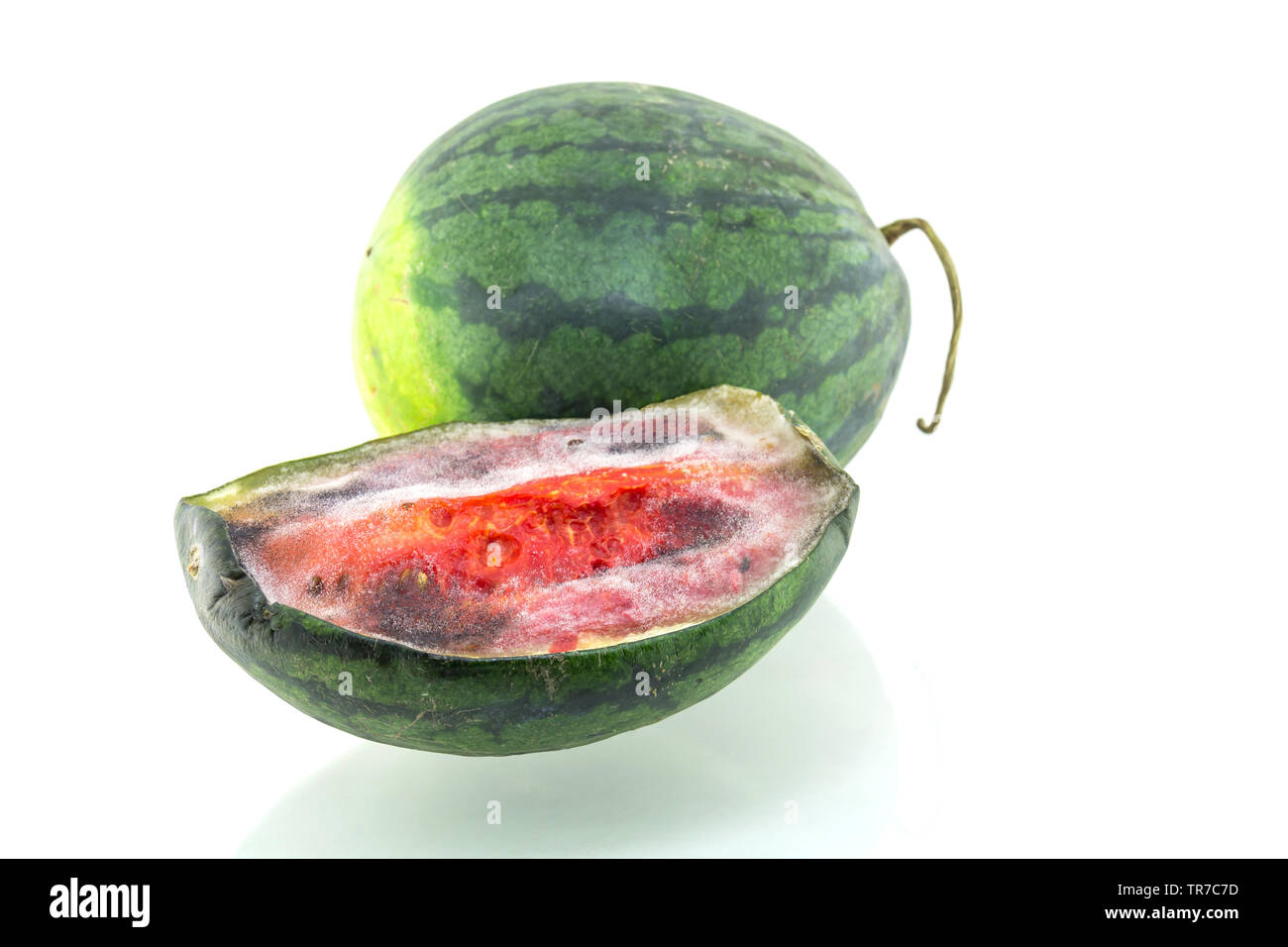 Rotten watermelon isolated on a white background Stock Photo - Alamy