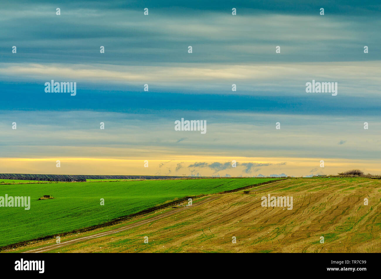 Field in Yambol, Bulgaria, morning sun Stock Photo - Alamy