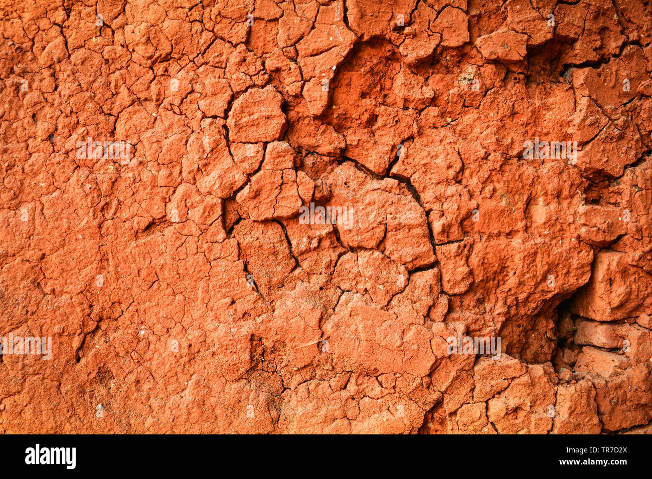 Red Clay Texture