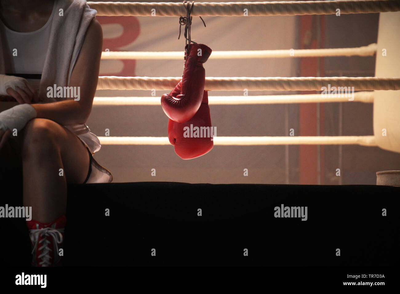 a boxer sitting on the edge of boxing ring and hanging boxing gloves ...