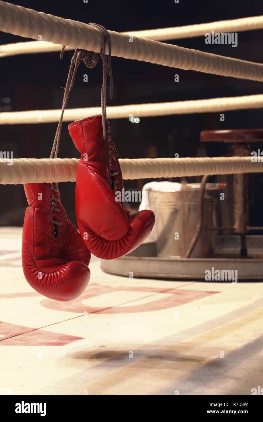 boxing gloves are hanging on a rope and have a chair, bucket and tray ...