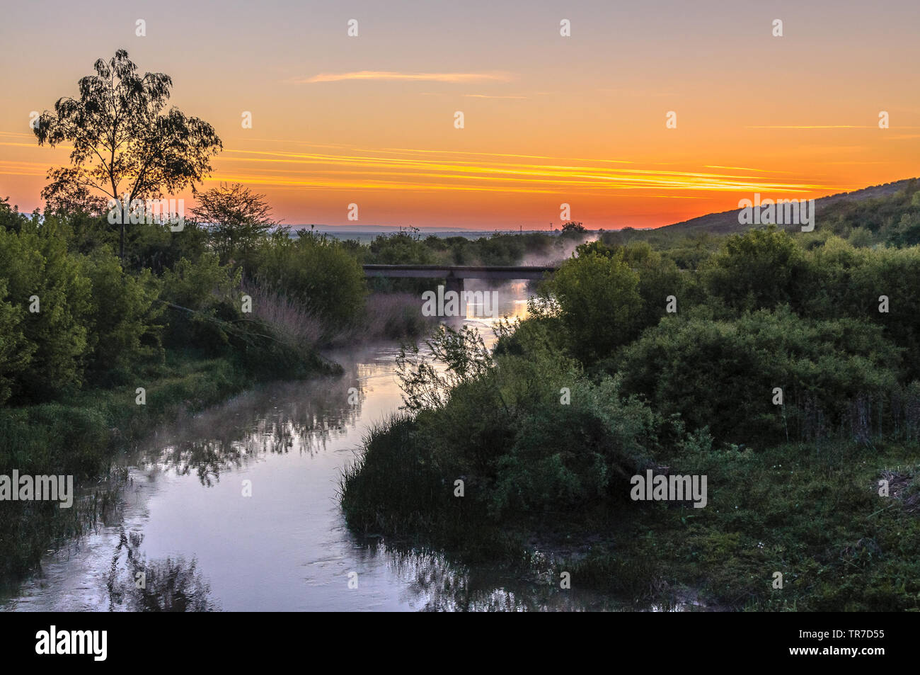 River landscape with trees and bridge Stock Photo - Alamy
