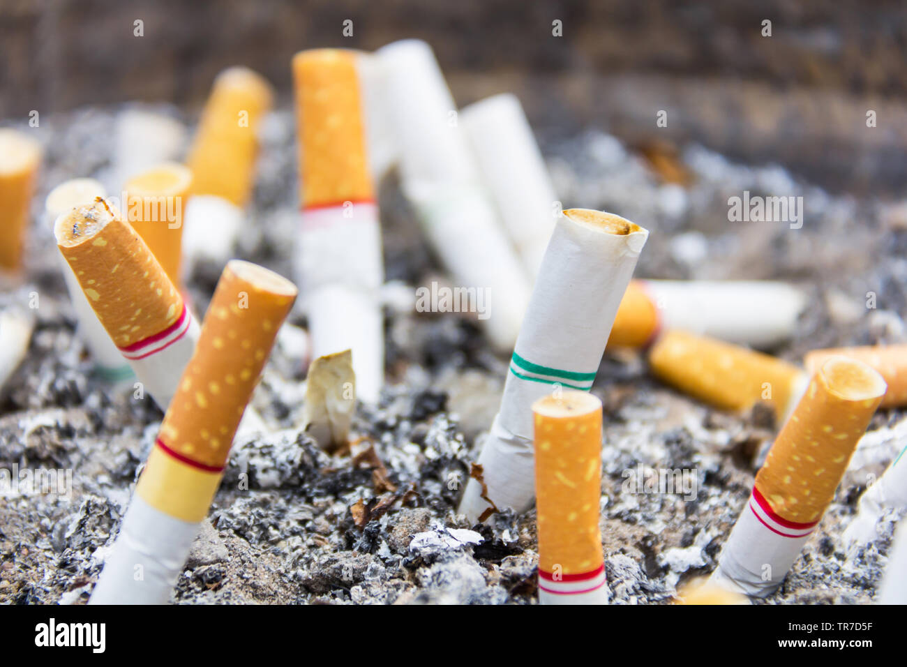 smoked cigarettes in a dirty ashtray Stock Photo - Alamy