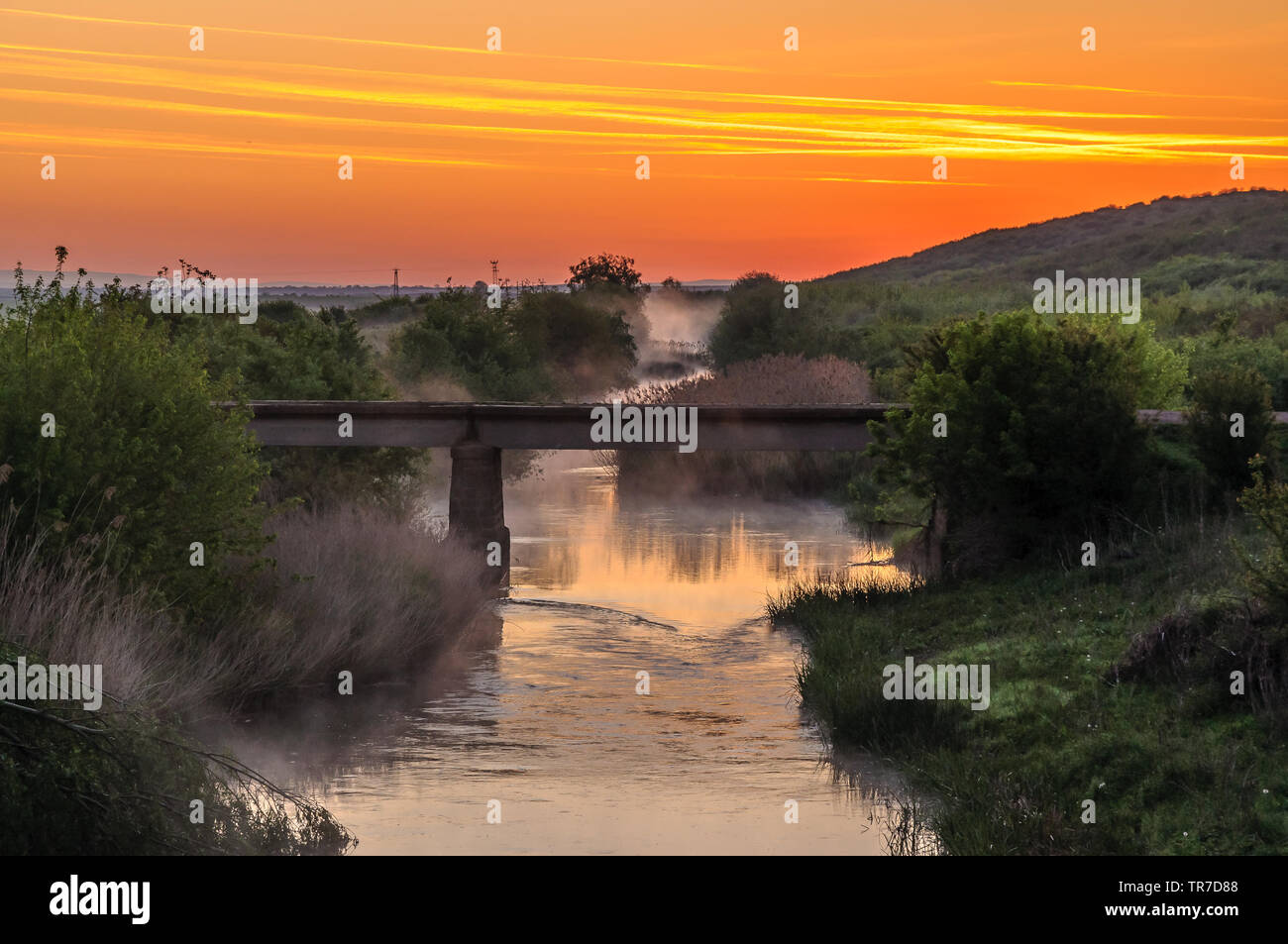 River landscape with trees and bridge Stock Photo - Alamy