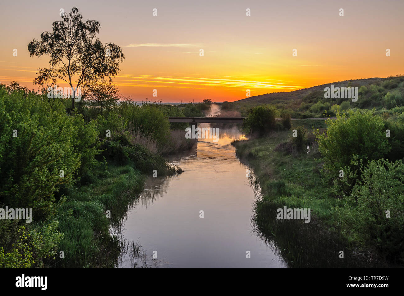 River landscape with trees and bridge Stock Photo - Alamy