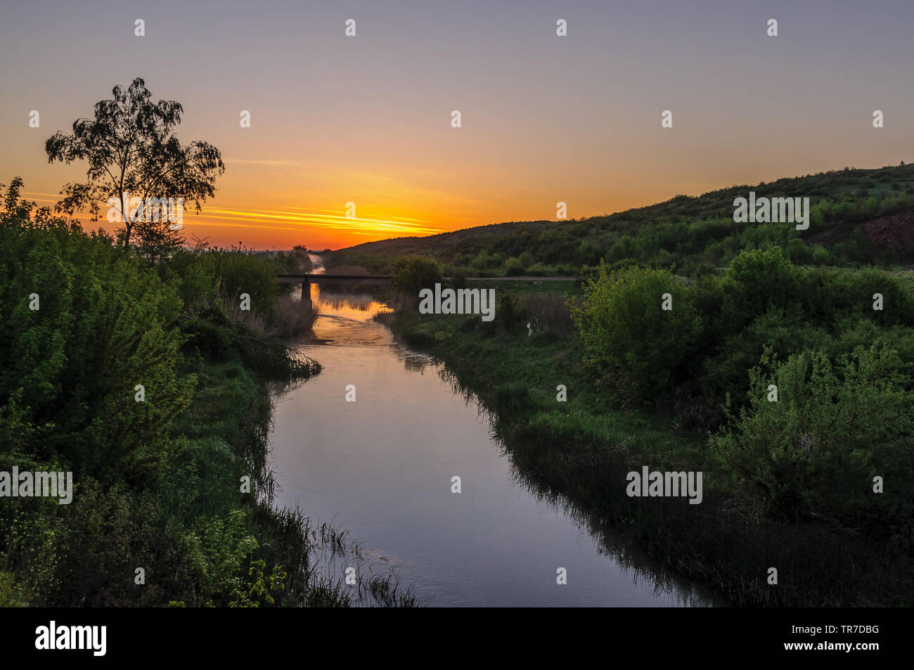 River landscape with trees and bridge Stock Photo - Alamy