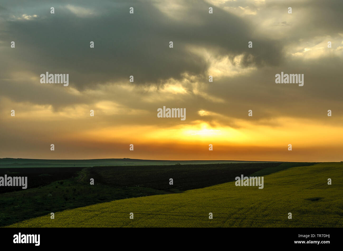 Field in Yambol, Bulgaria, morning sun Stock Photo - Alamy