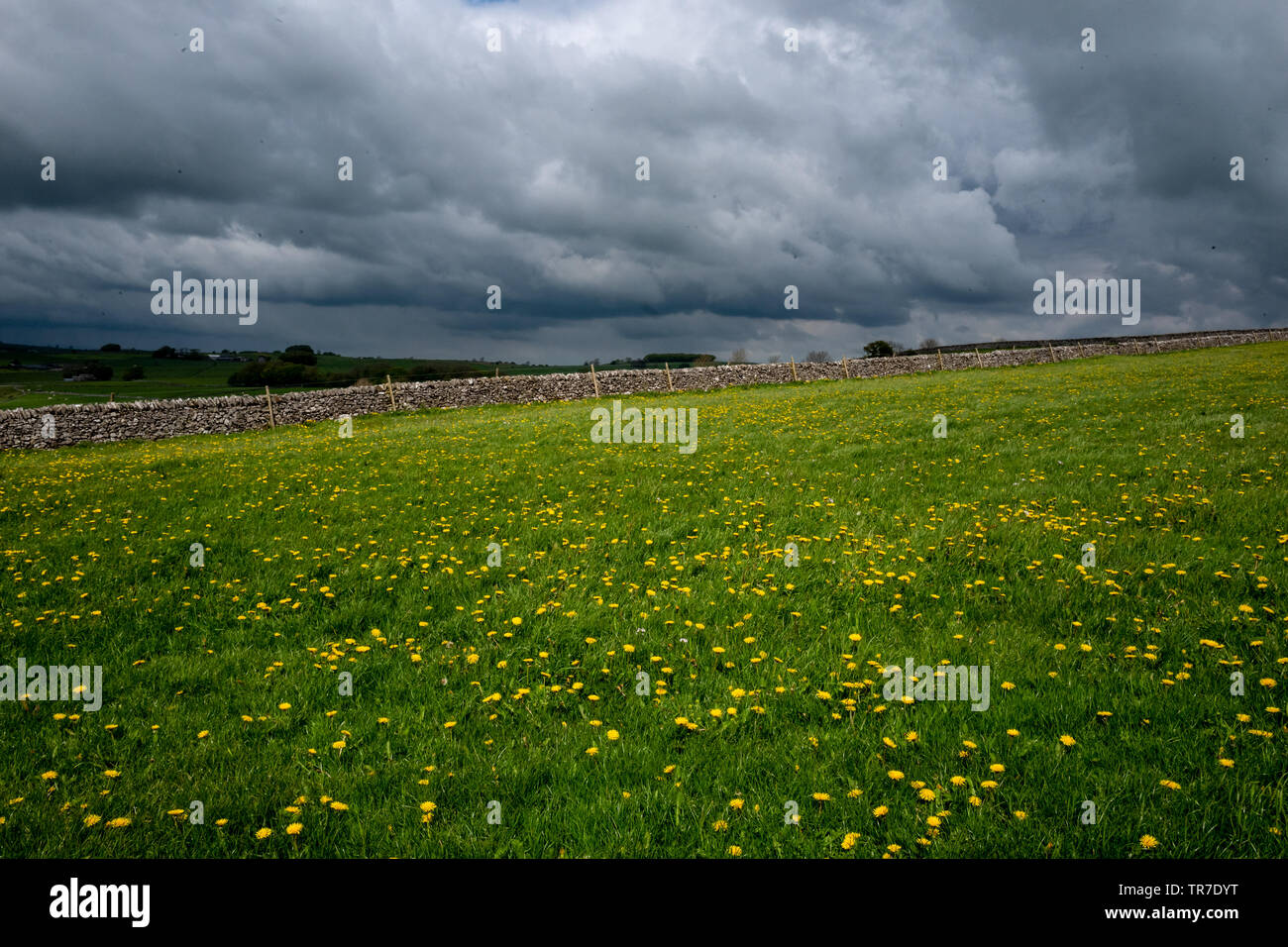 The Limestone Way in the Peak District Stock Photo - Alamy