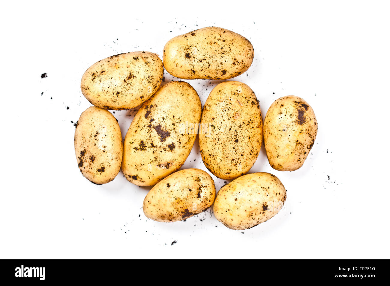 Newly harvested dirty potatoes heap isolated on white background. Fresh ...