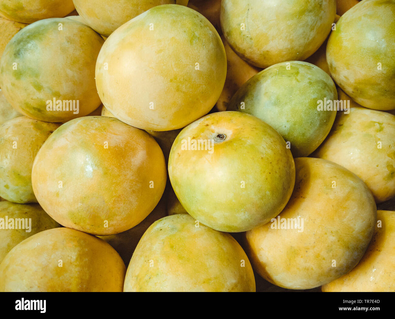 Healthy round ripe mangoes hi-res stock photography and images - Alamy