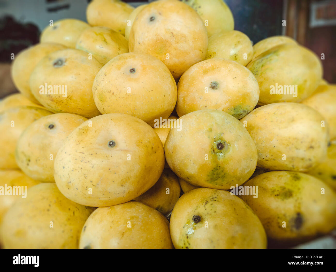 Healthy round ripe mangoes hi-res stock photography and images - Alamy