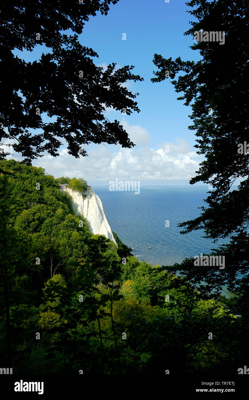 The classic view of Konigsstuhl dramatic white chalk cliffs of Jasmund ...