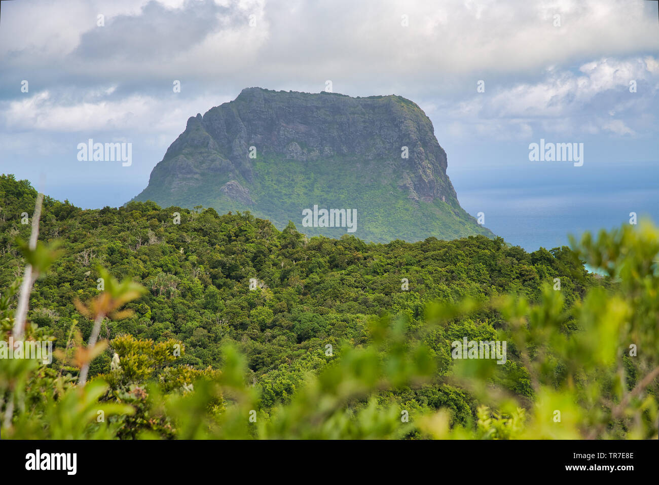 Le Morne mountain, aerial view from Mauritius hill Stock Photo - Alamy