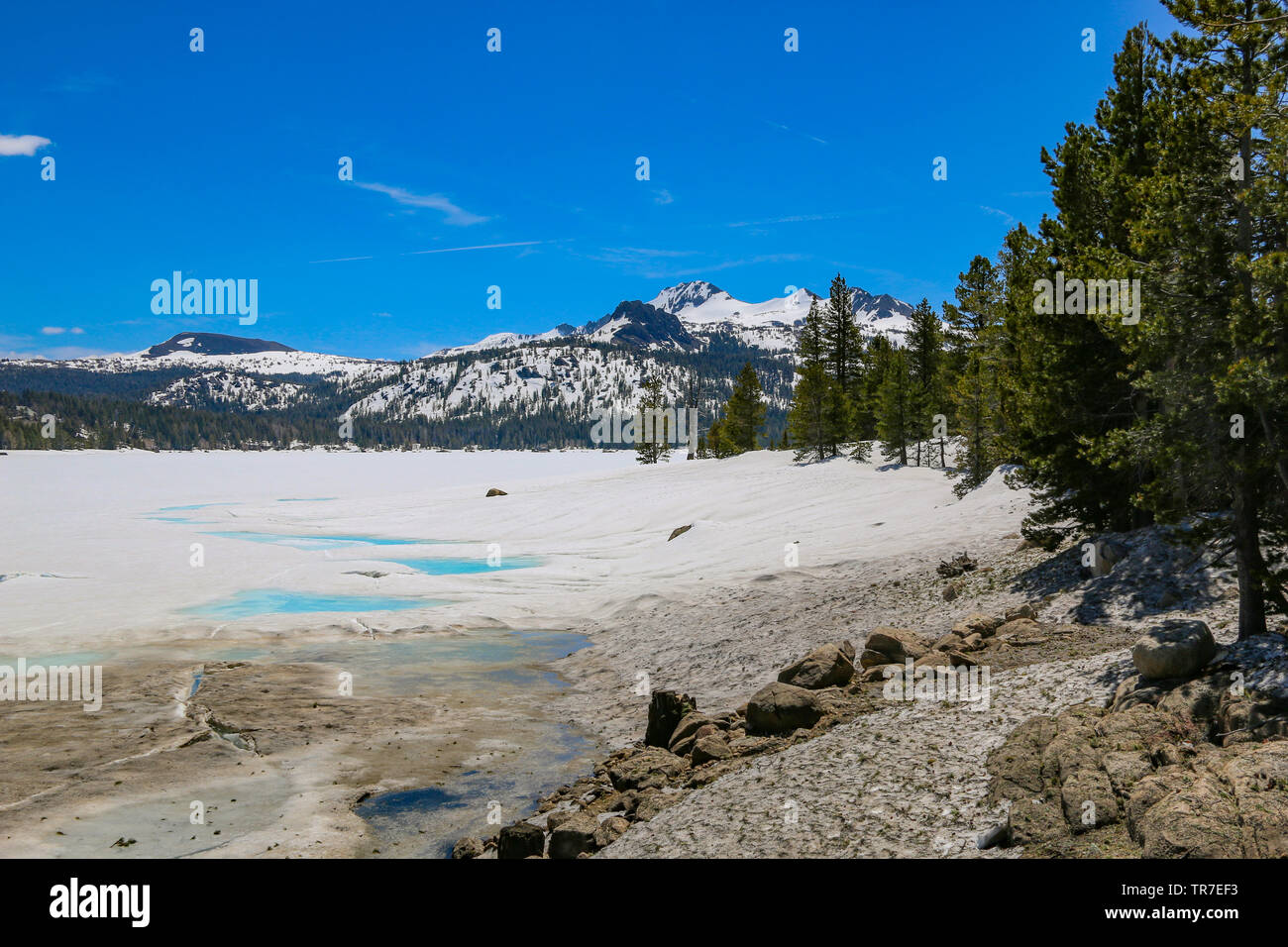 Beautiful Frozen Caples Lake, California, USA Stock Photo - Alamy