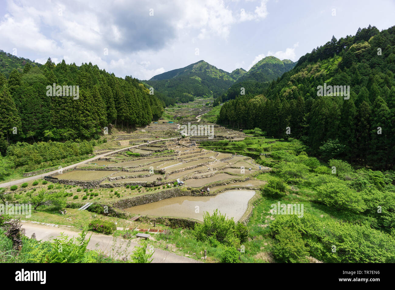 Shinshiro hi-res stock photography and images - Alamy