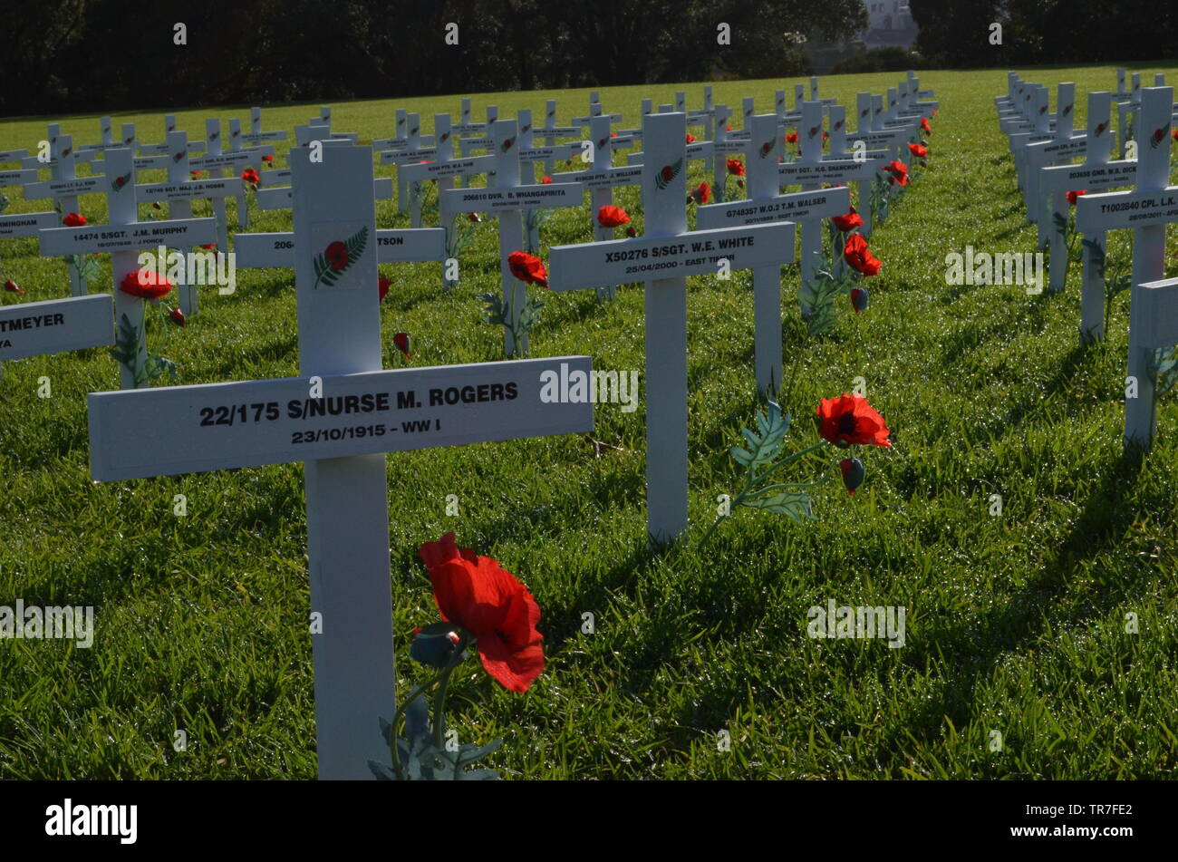 Anzac Crosses in the Field of Remembrance Stock Photo - Alamy