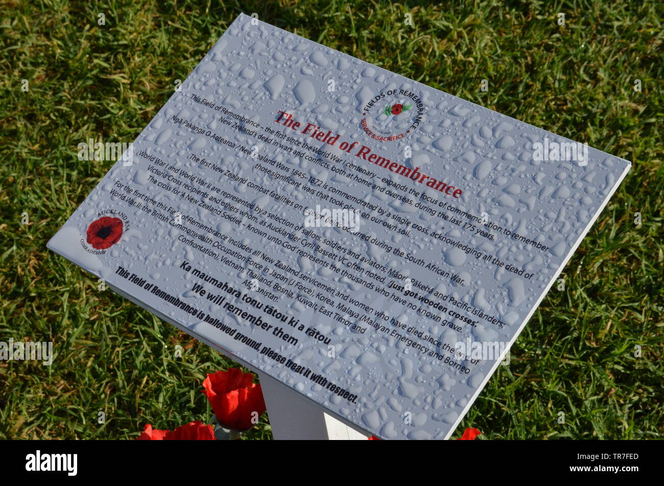 The Field of Remembrance Plaque Stock Photo - Alamy