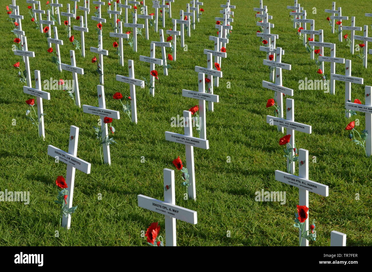 Anzac Crosses in the Field of Remembrance Stock Photo - Alamy