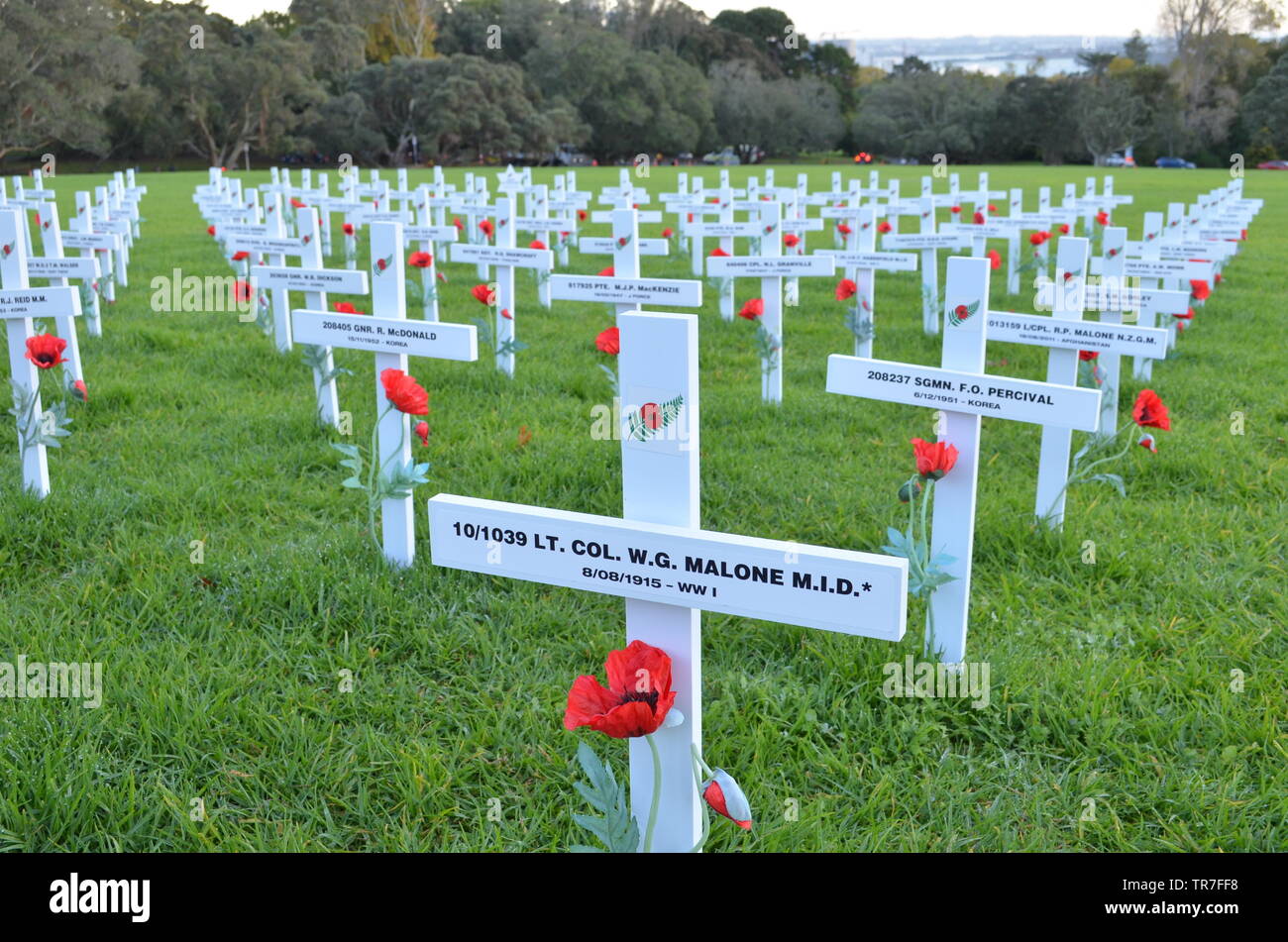 Anzac Crosses in the Field of Remembrance Stock Photo - Alamy