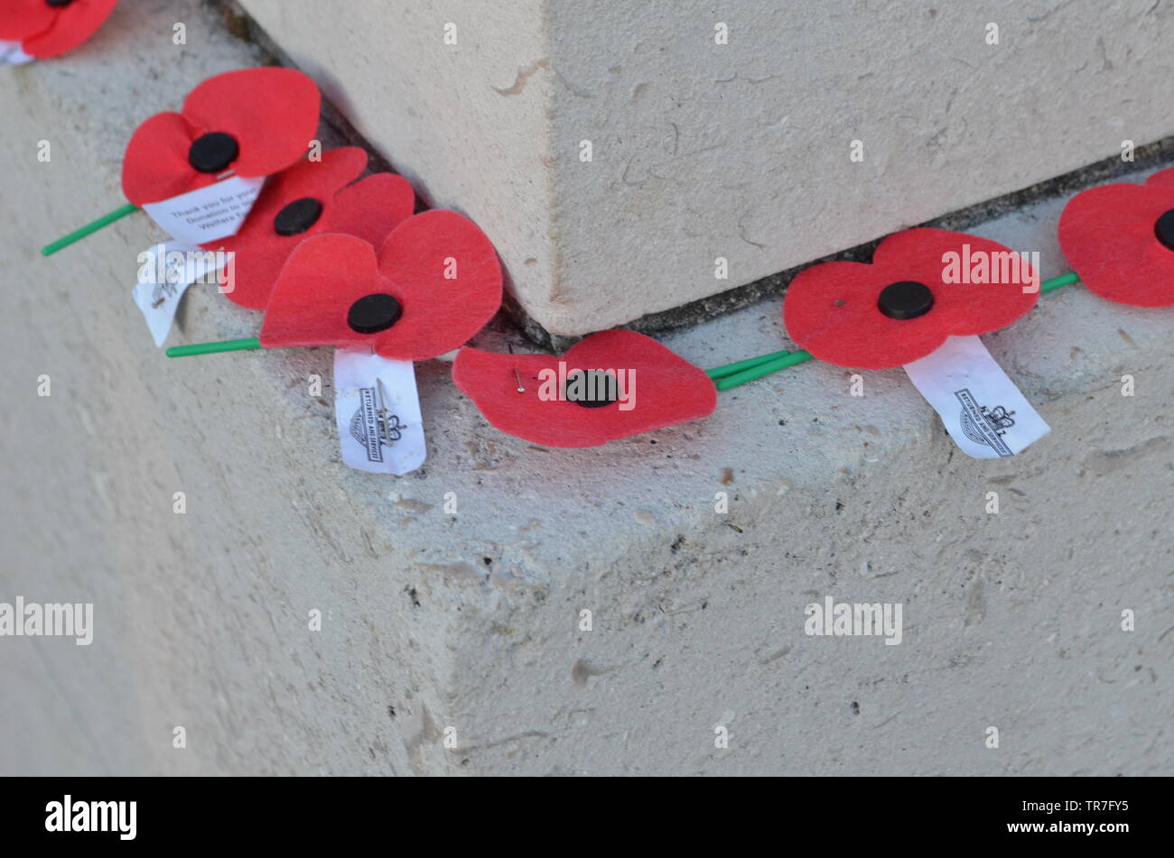 NZ RSA Red Poppies Stock Photo - Alamy