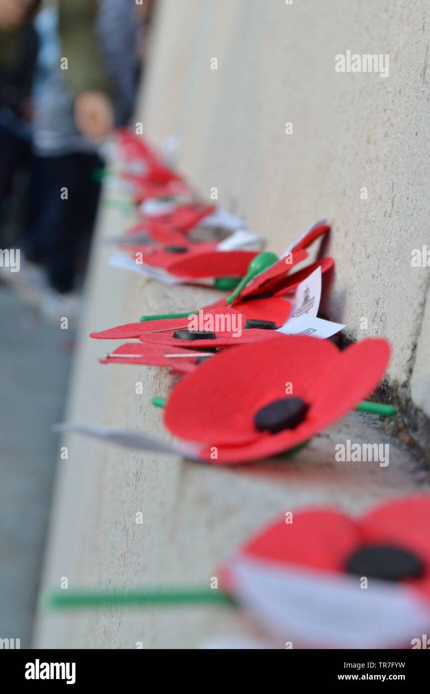 Red poppies war memorial hi-res stock photography and images - Alamy