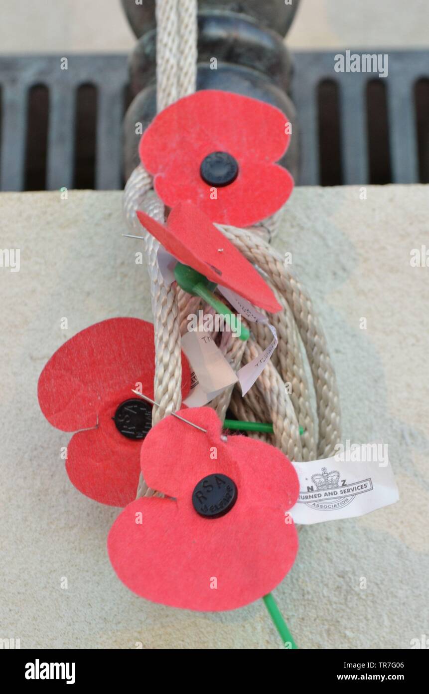 Red poppies war memorial hi-res stock photography and images - Alamy