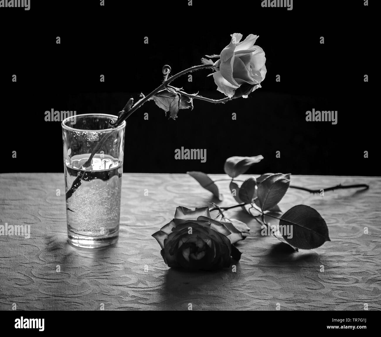 Summer flower red rose Black and White Stock Photos & Images - Alamy