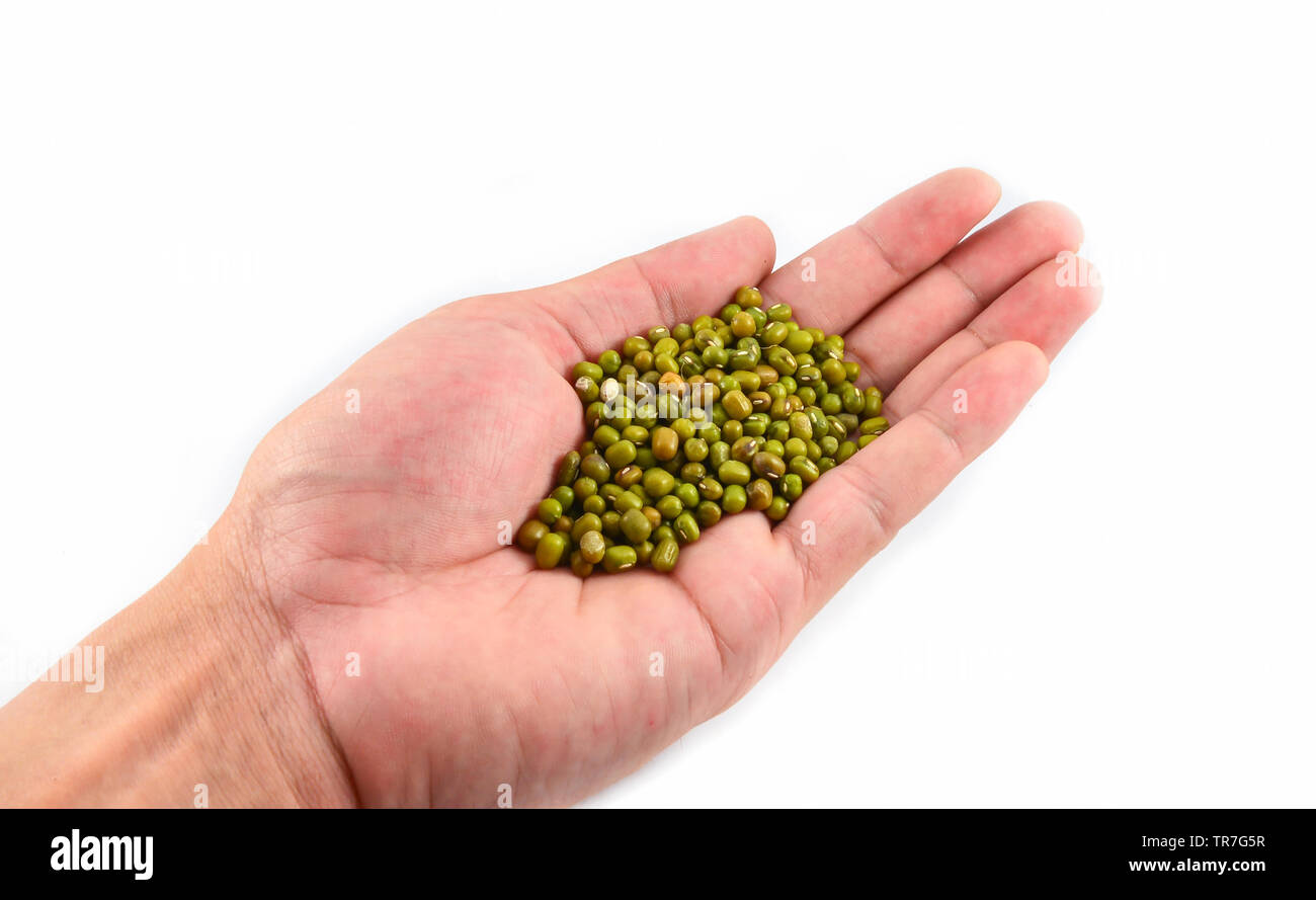 Mung beans in hand isolated on white background Stock Photo - Alamy