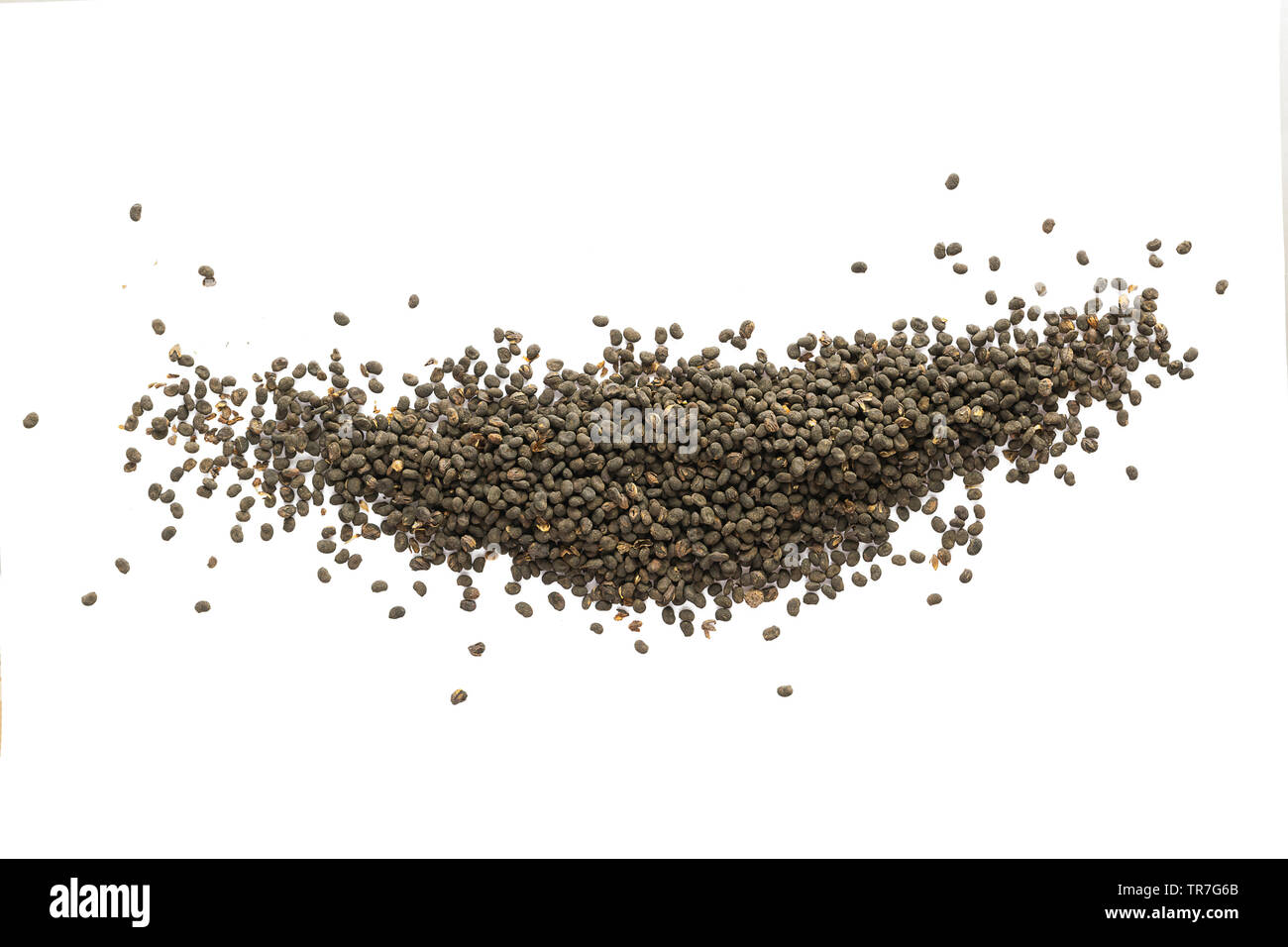 Babchi dry whole seeds isolated on white background. Bakuchiol concept ...