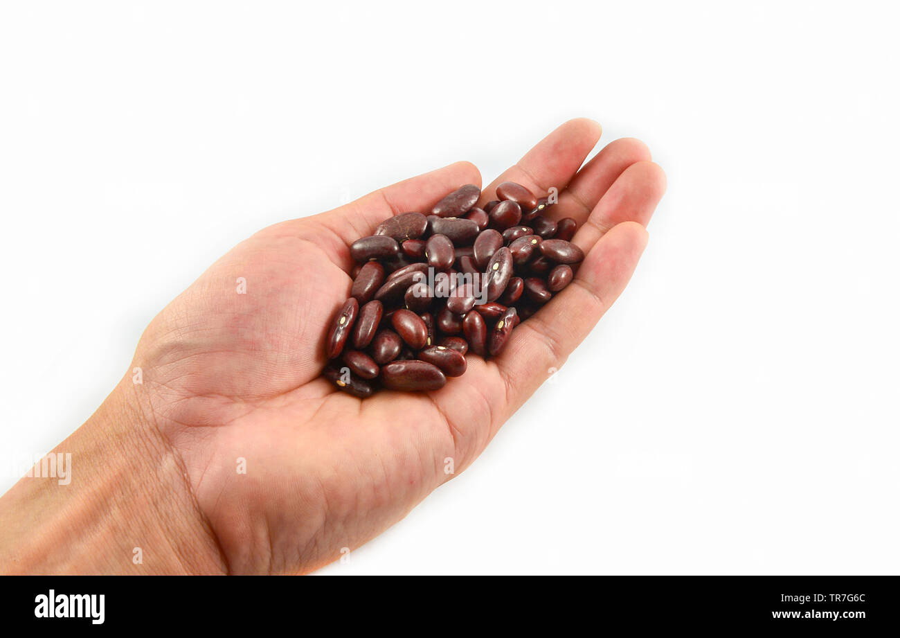 Red bean or red kidney bean in hand isolated on white background Stock ...
