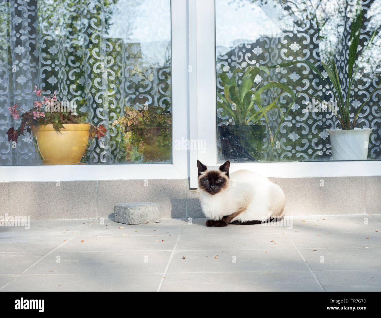 Wichien maat hi-res stock photography and images - Alamy