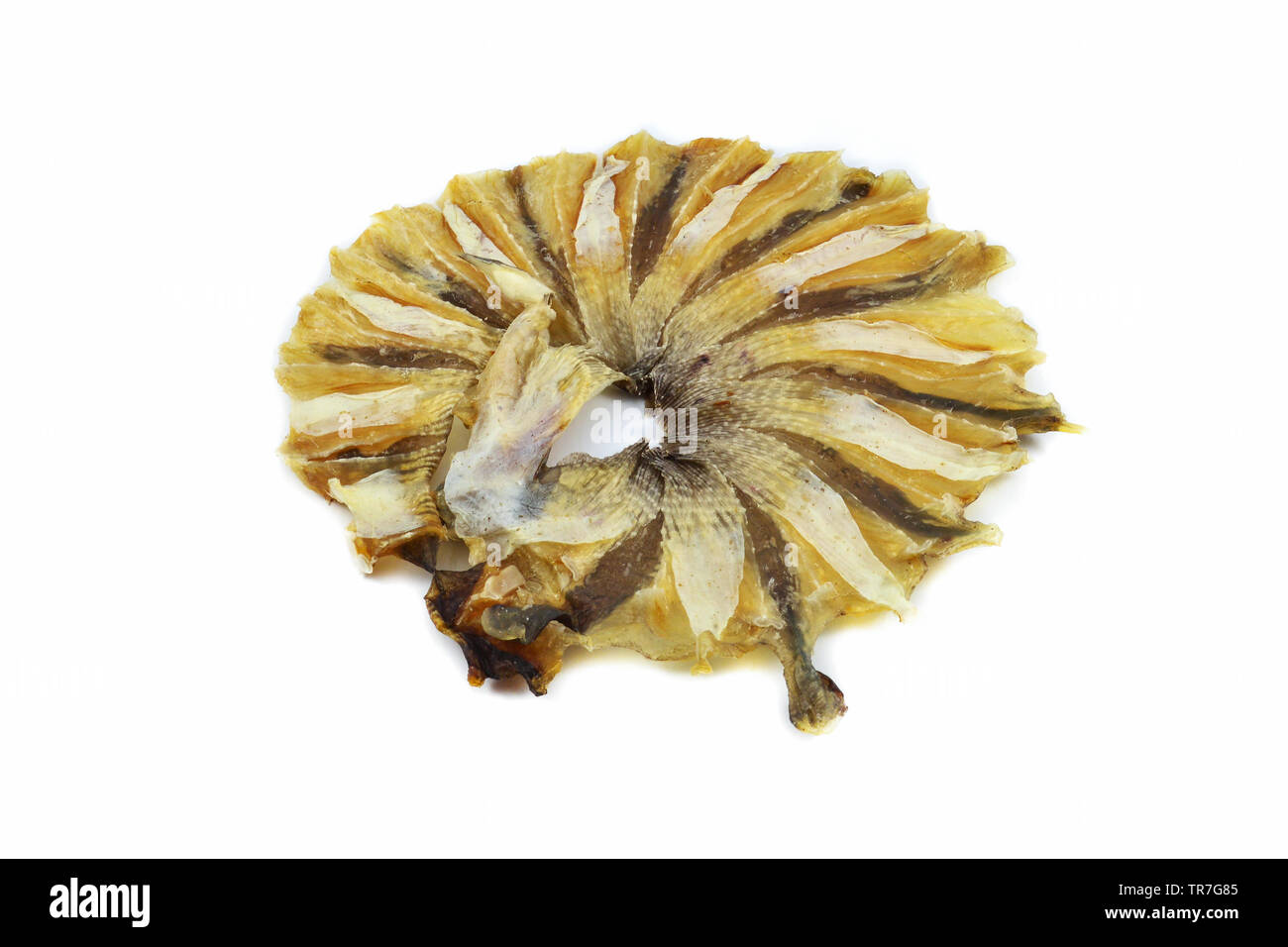 Circle dried fish dissect preservation dry seafood Stock Photo - Alamy