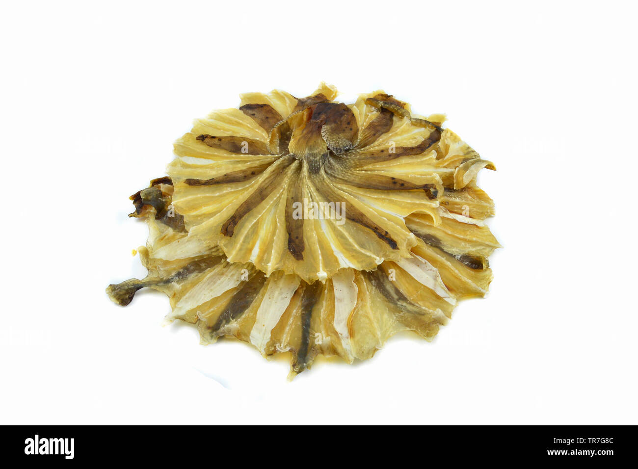 Circle dried fish dissect preservation dry seafood Stock Photo - Alamy