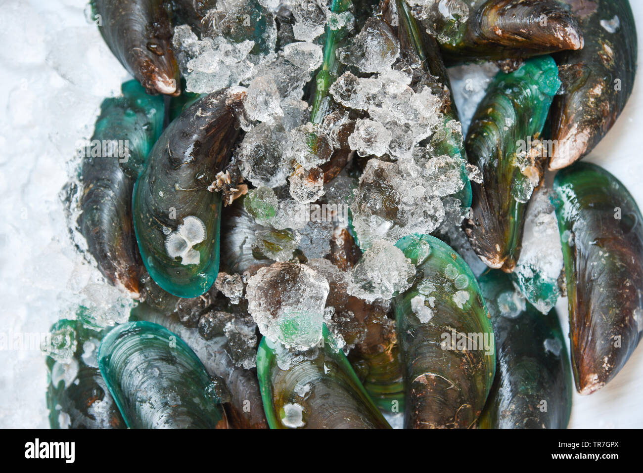 Fresh raw Mussel on ice background in the seafood supermarket Stock ...