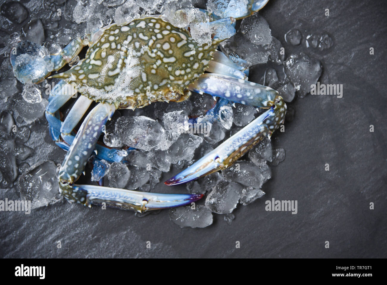 Seafood crab on ice / Fresh raw Blue Swimming Crab on dark background ...