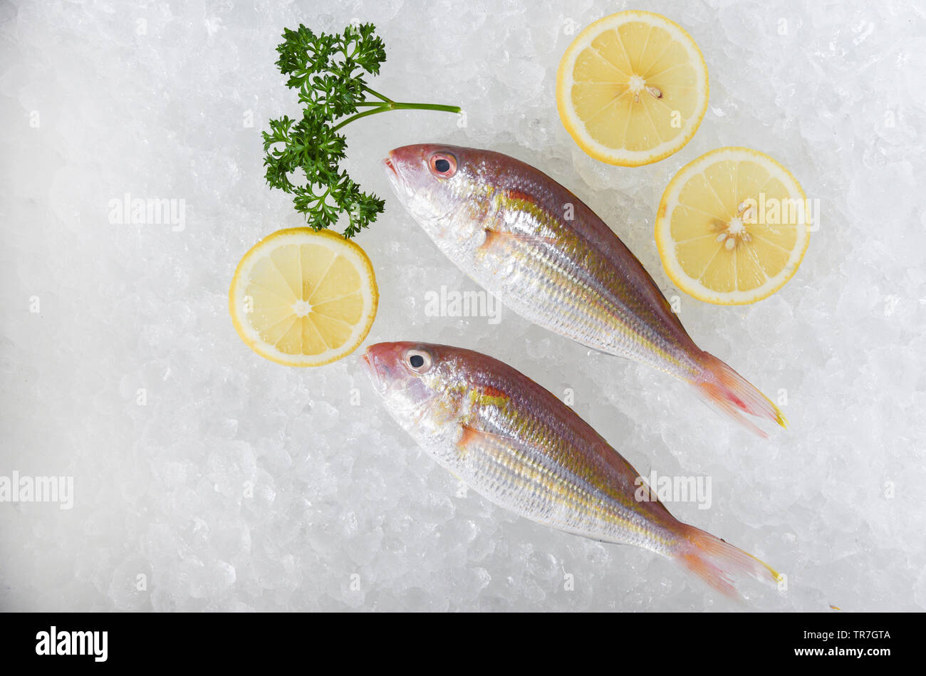 Fresh raw fish and lemon on ice background in the seafood supermarket ...