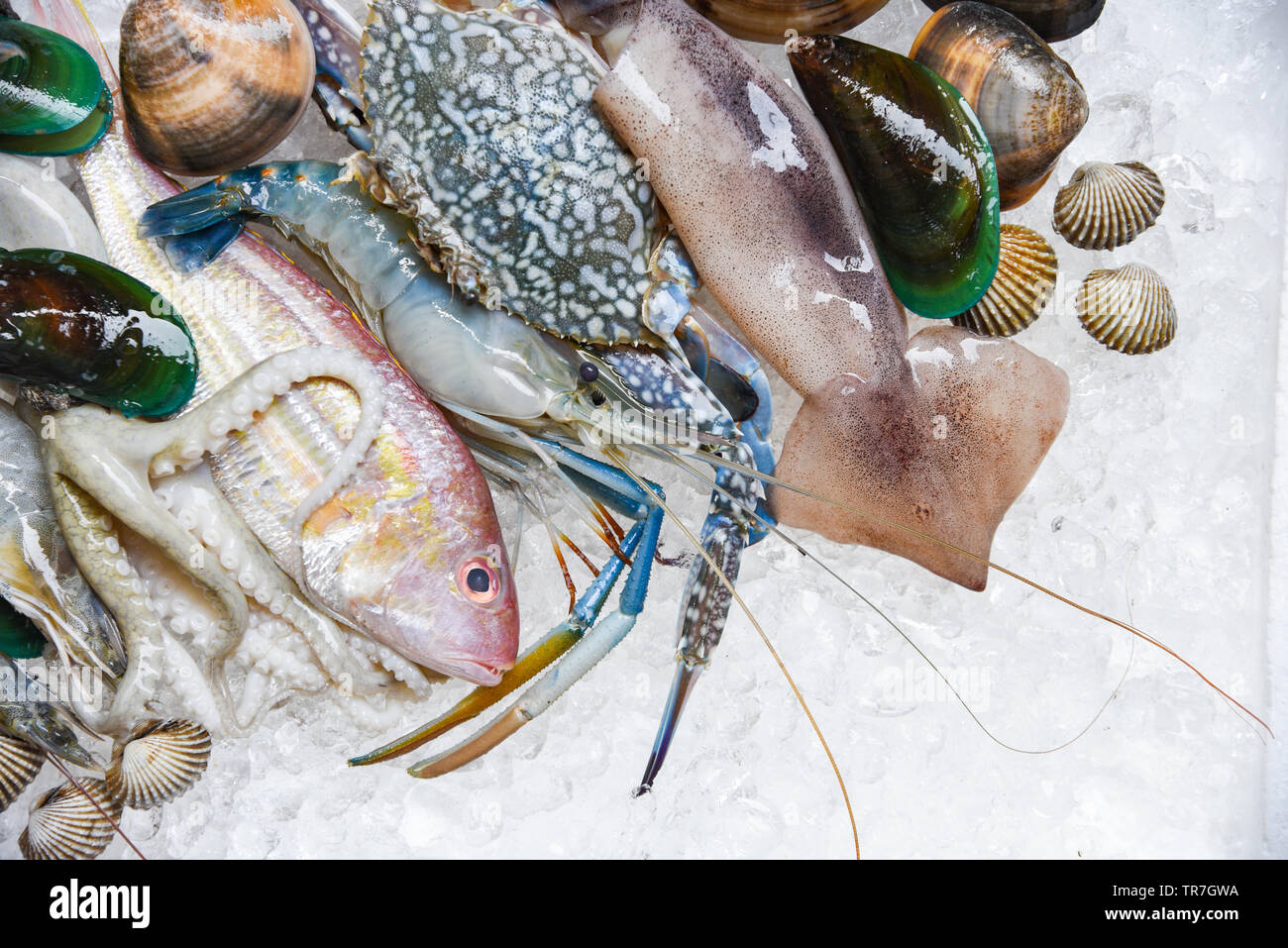 Fresh raw seafood on ice background / Shellfish shrimps prawns crab ...