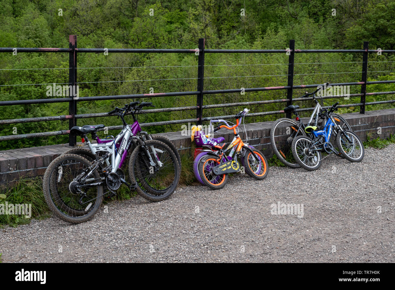 Walking frame on wheels hi-res stock photography and images - Alamy