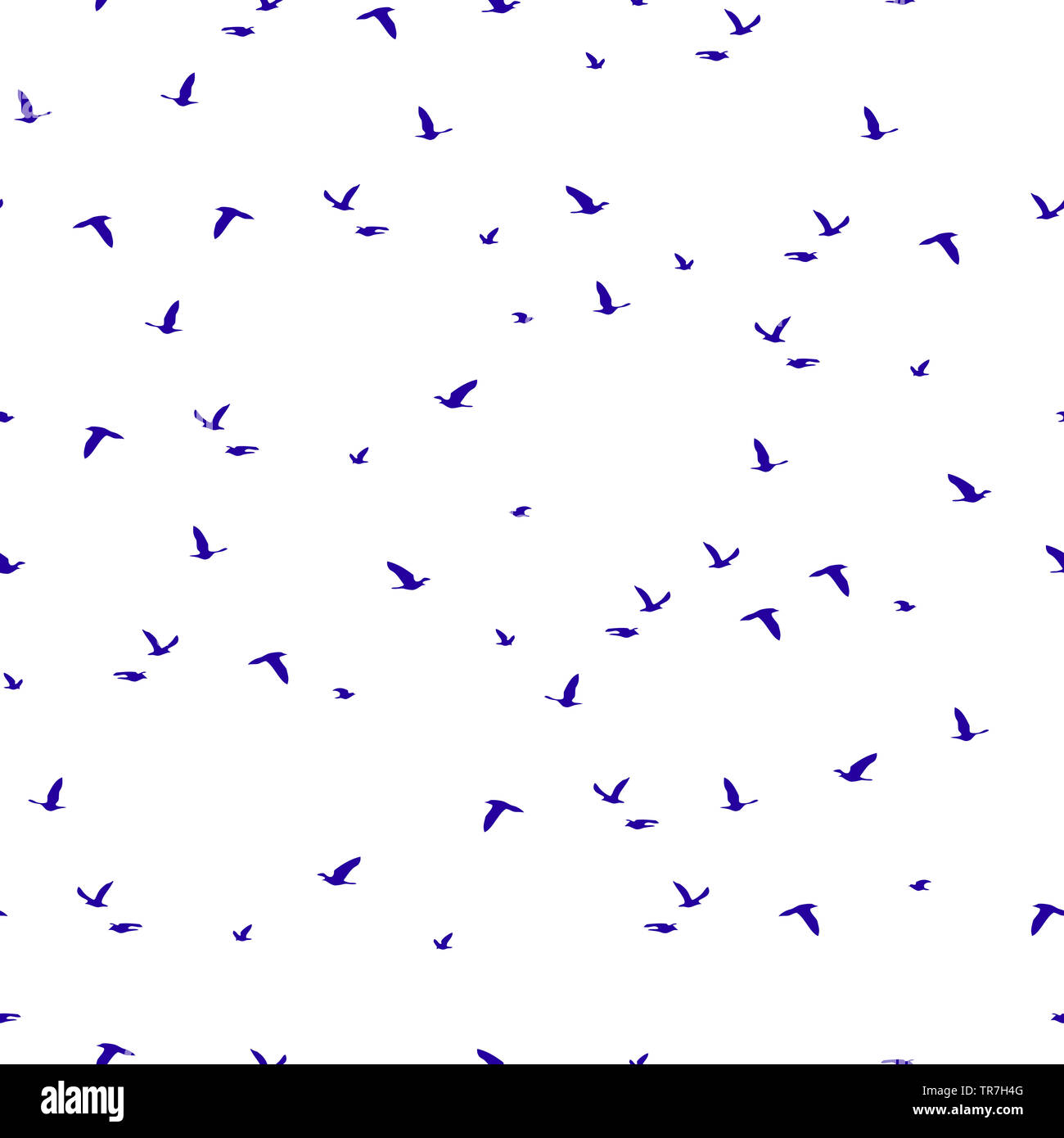 Raven flying illustration Cut Out Stock Images & Pictures - Alamy