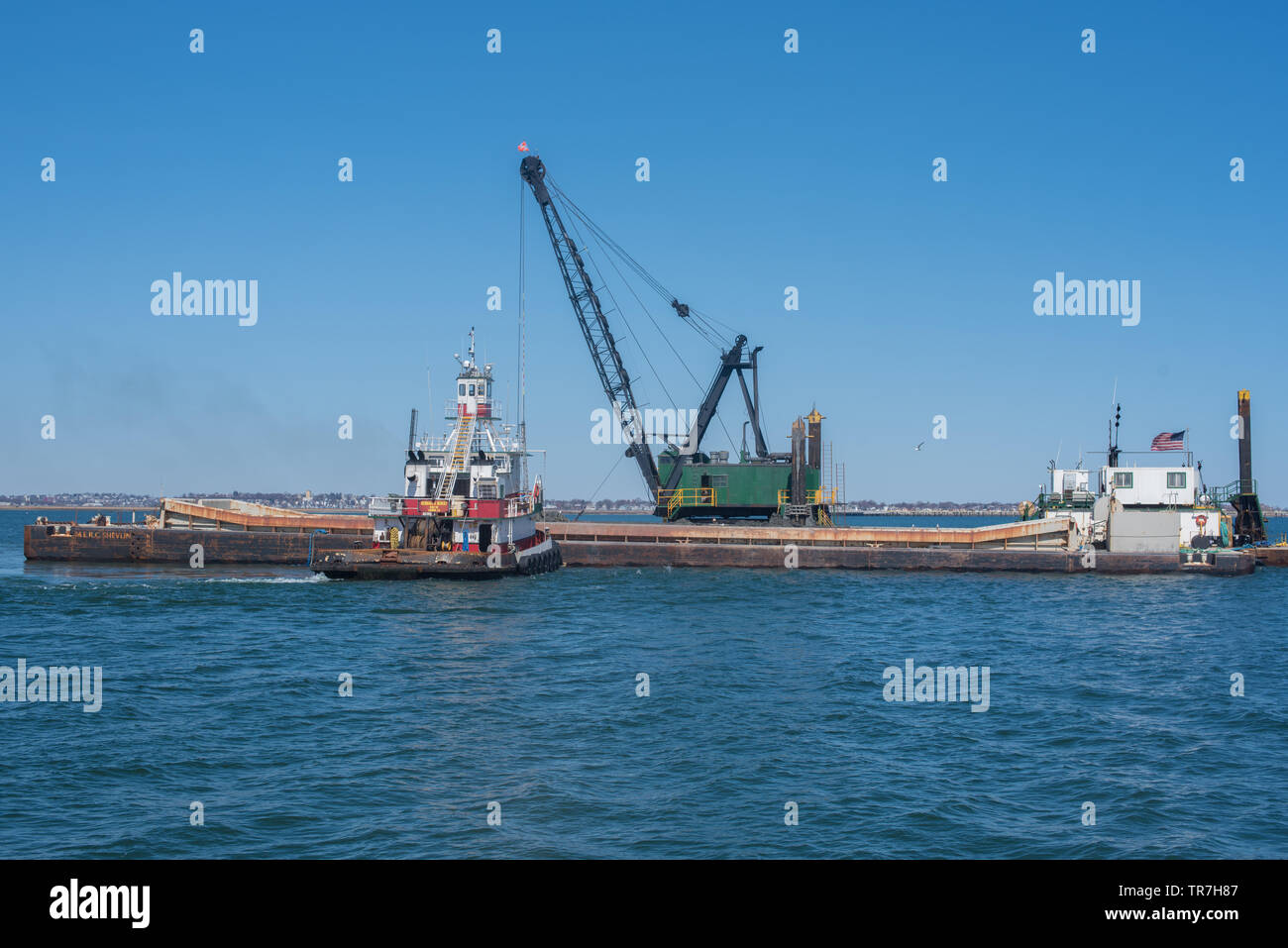sea crane off Boston harbour in Massachusetts Stock Photo - Alamy