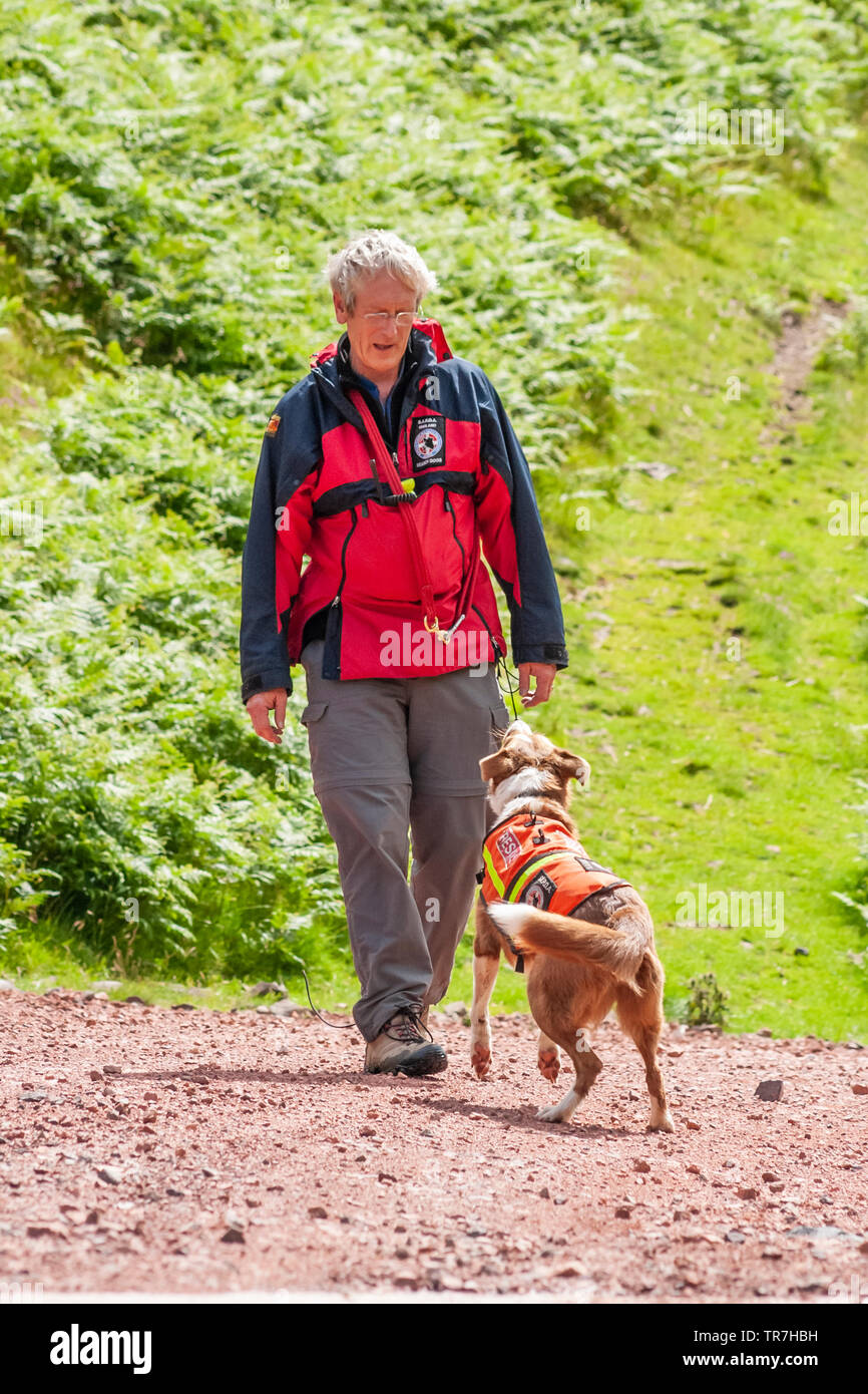 Search and rescue dog association uk hi-res stock photography and ...