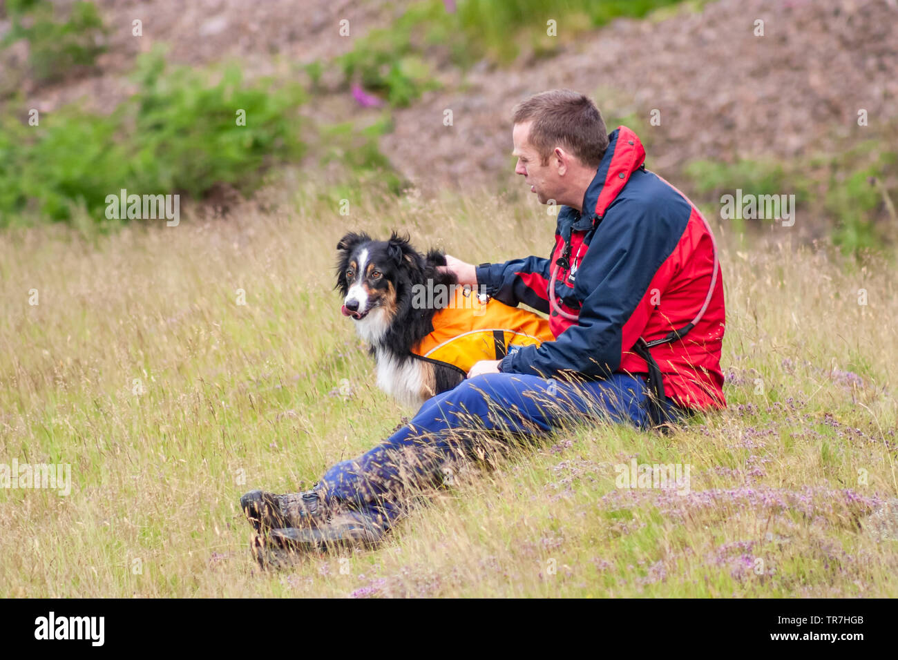 National Search and Rescue Dogs Association rescue dogs on exercise in ...