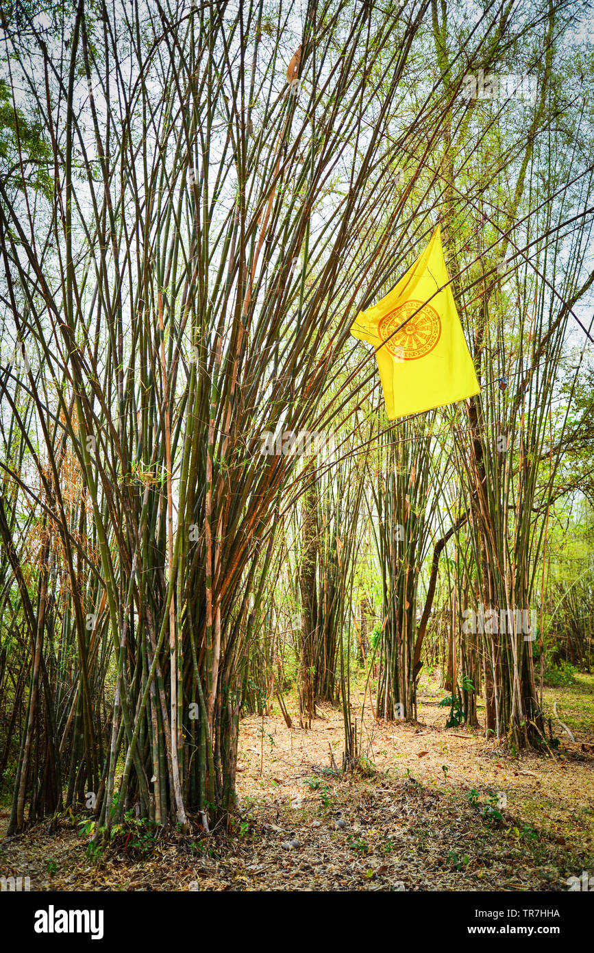 Dhammacakka flag hi-res stock photography and images - Alamy