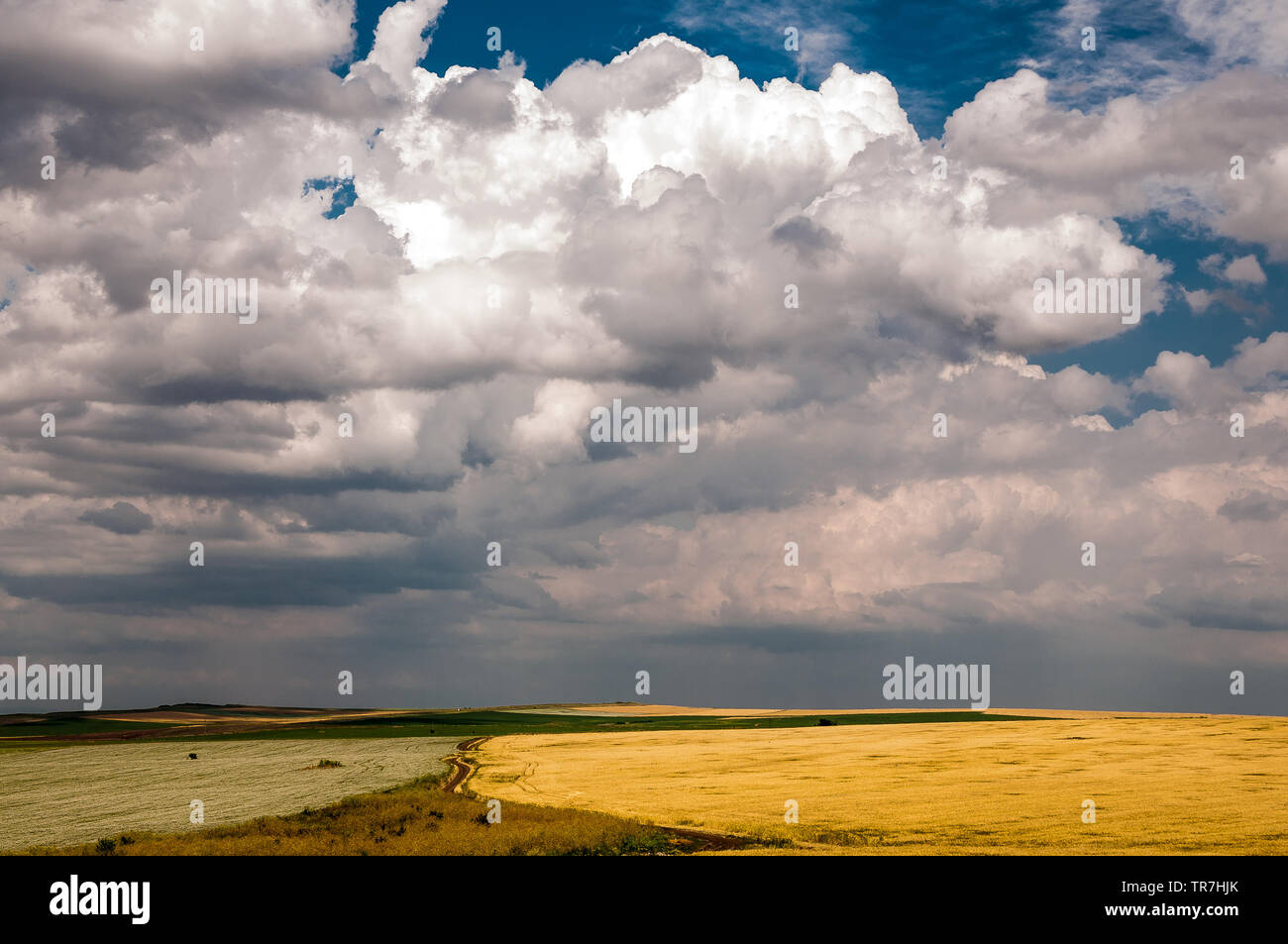 Rainy spring morning hi-res stock photography and images - Alamy