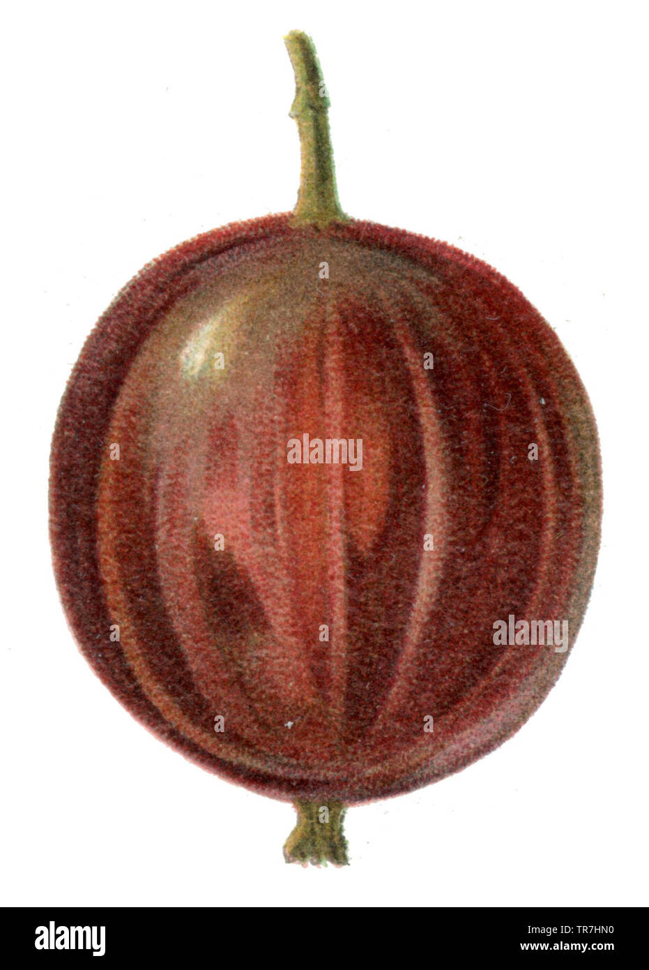 Jolly printer hi-res stock photography and images - Alamy