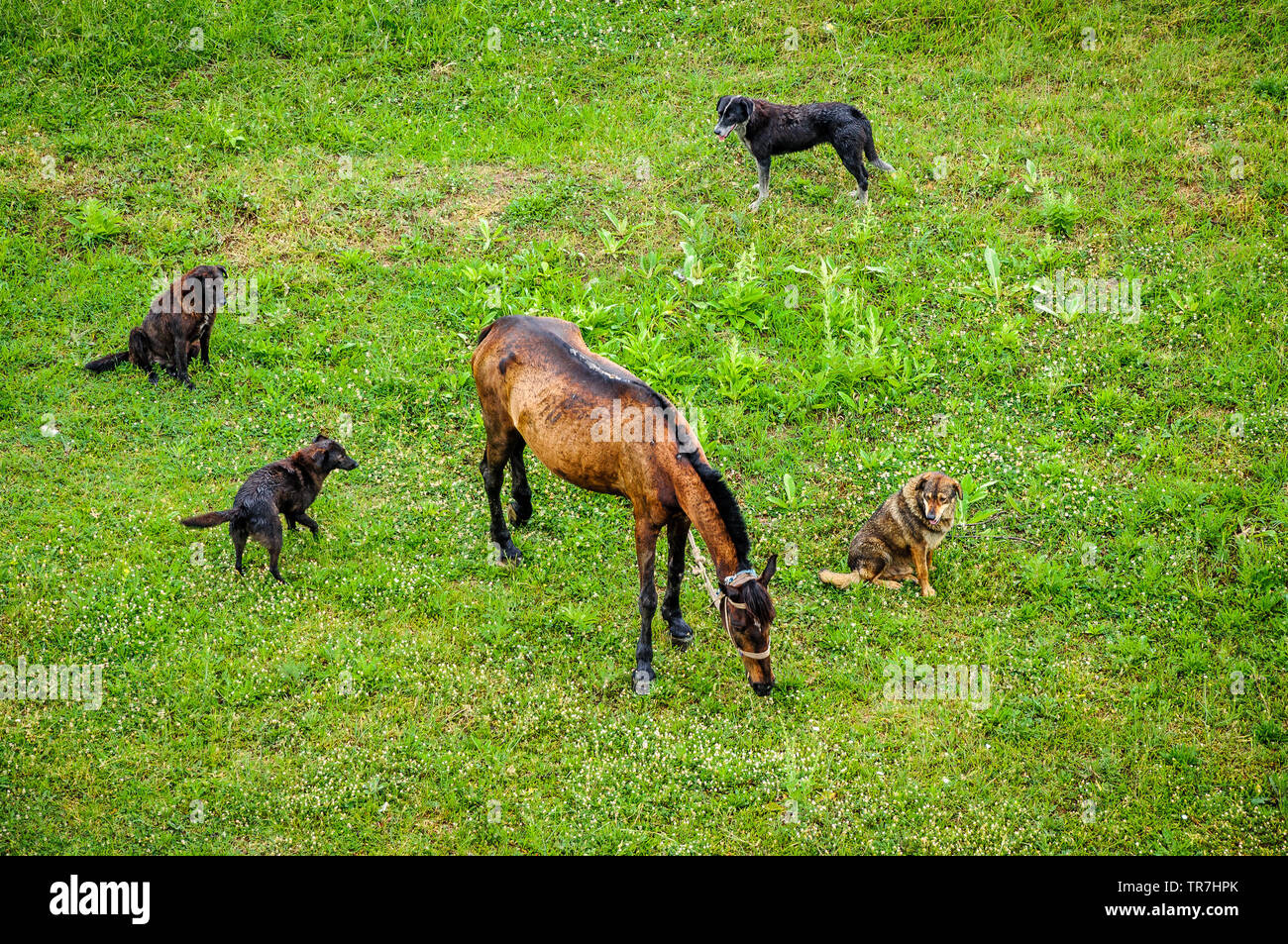On the road Stock Photo - Alamy